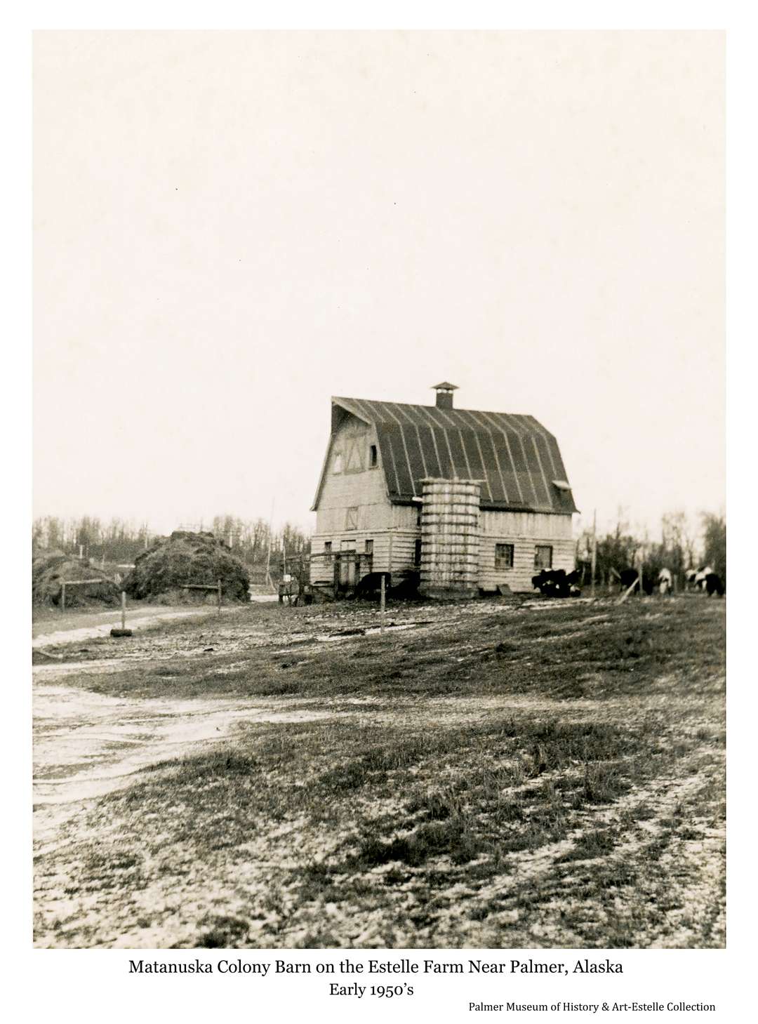 Colony Barns 4 - Matanuska Valley Historical Photo Project