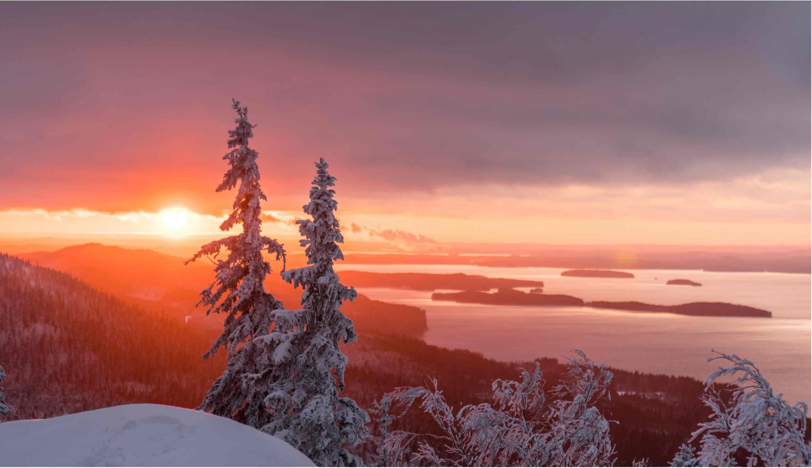 Tripio - It's never been easier to explore