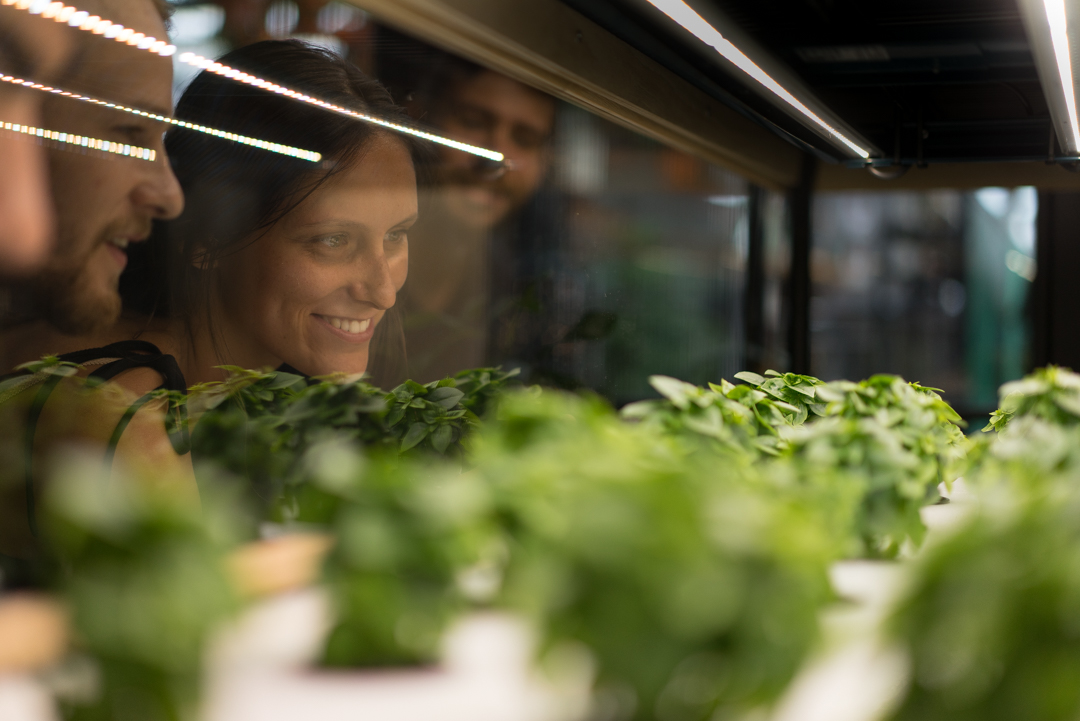 EATALY NYC Flatiron - Eataly’s vertical rooftop garden