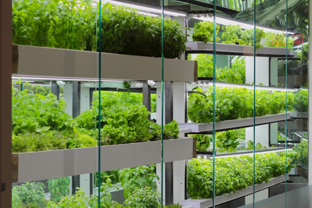 Custom vertical farm systems for offices