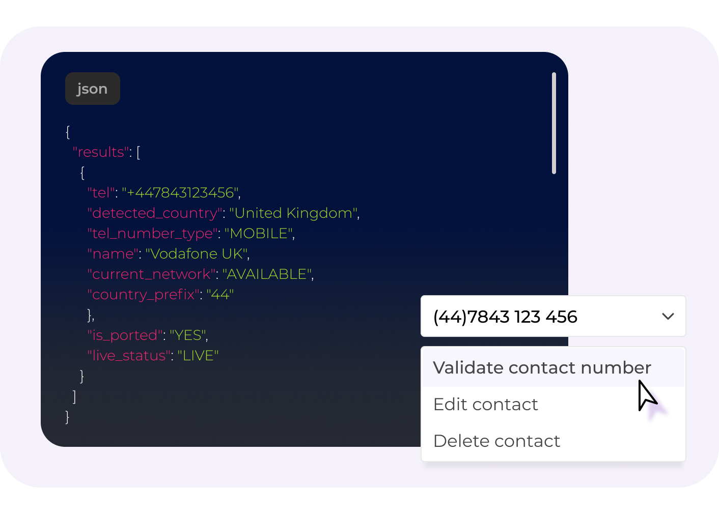 Number Lookup API | InstaMessage