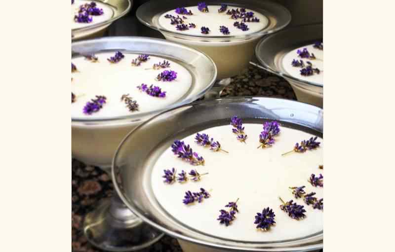 Honey Mousse with Lavender Jelly | Ballymaloe Recipes | Ballymaloe ...