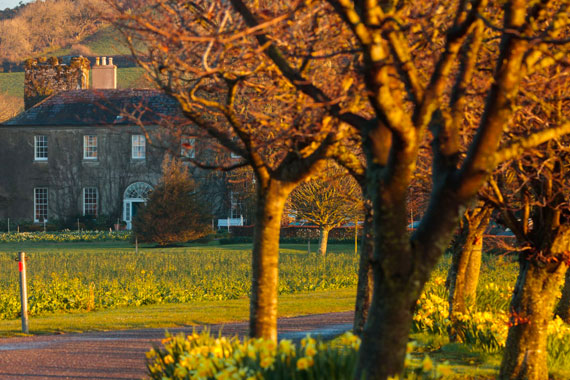 Art Exhibition of New Work by Bill Griffin