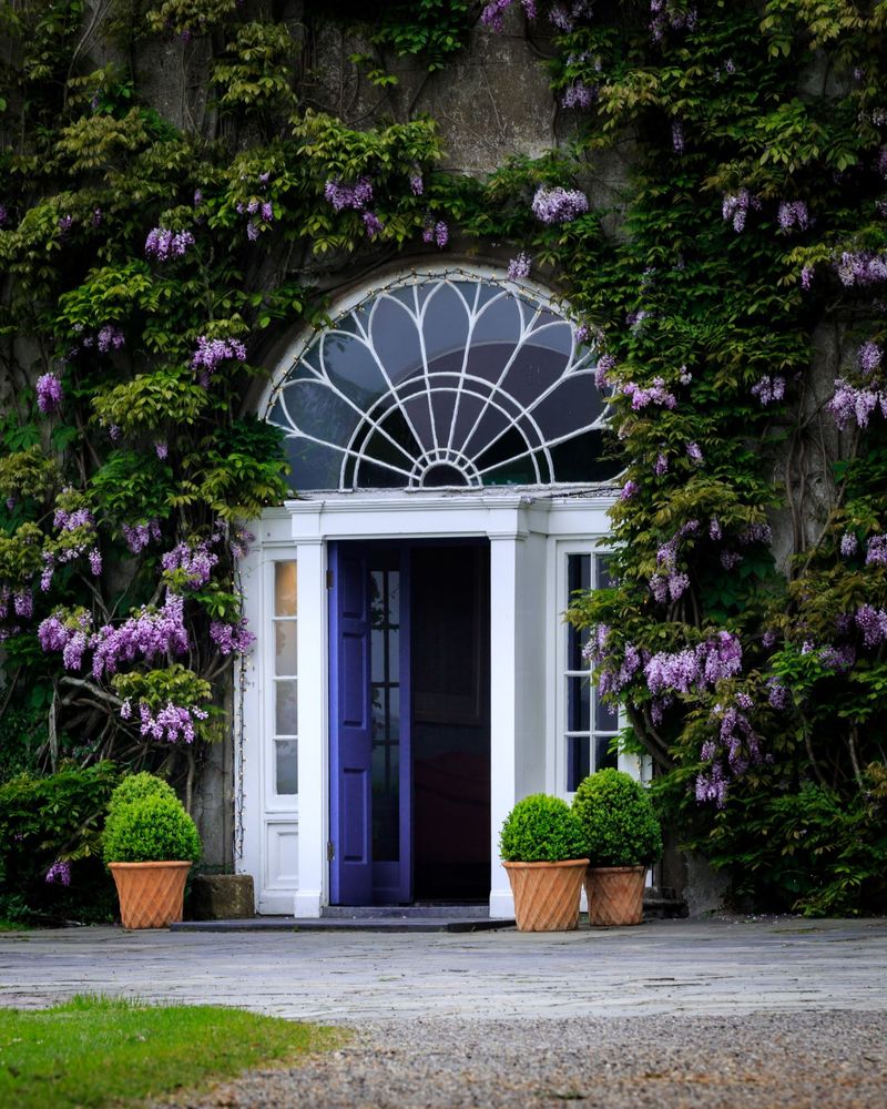 Ballymaloe House Hotel - Luxury Country House Hotel in Cork