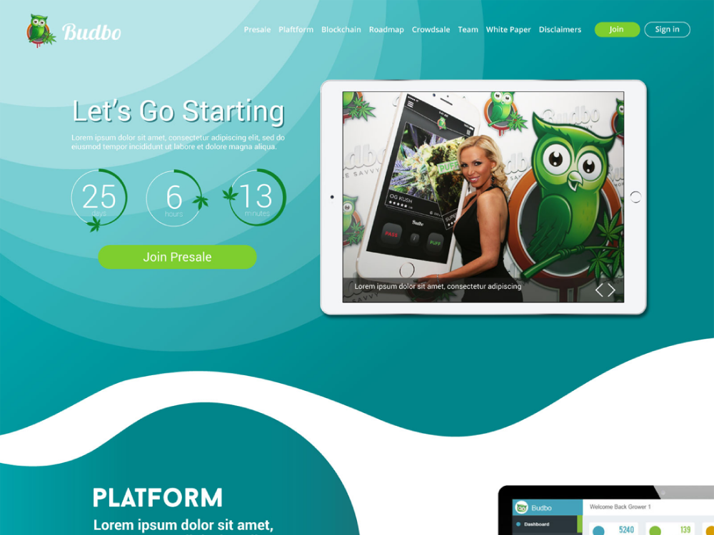 How To Build an Effective Landing Page [Complete Guide] | Upwork