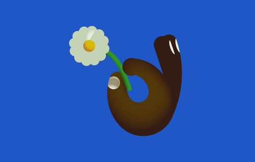 How To Become a Freelance Illustrator: 10 Tips for Beginners