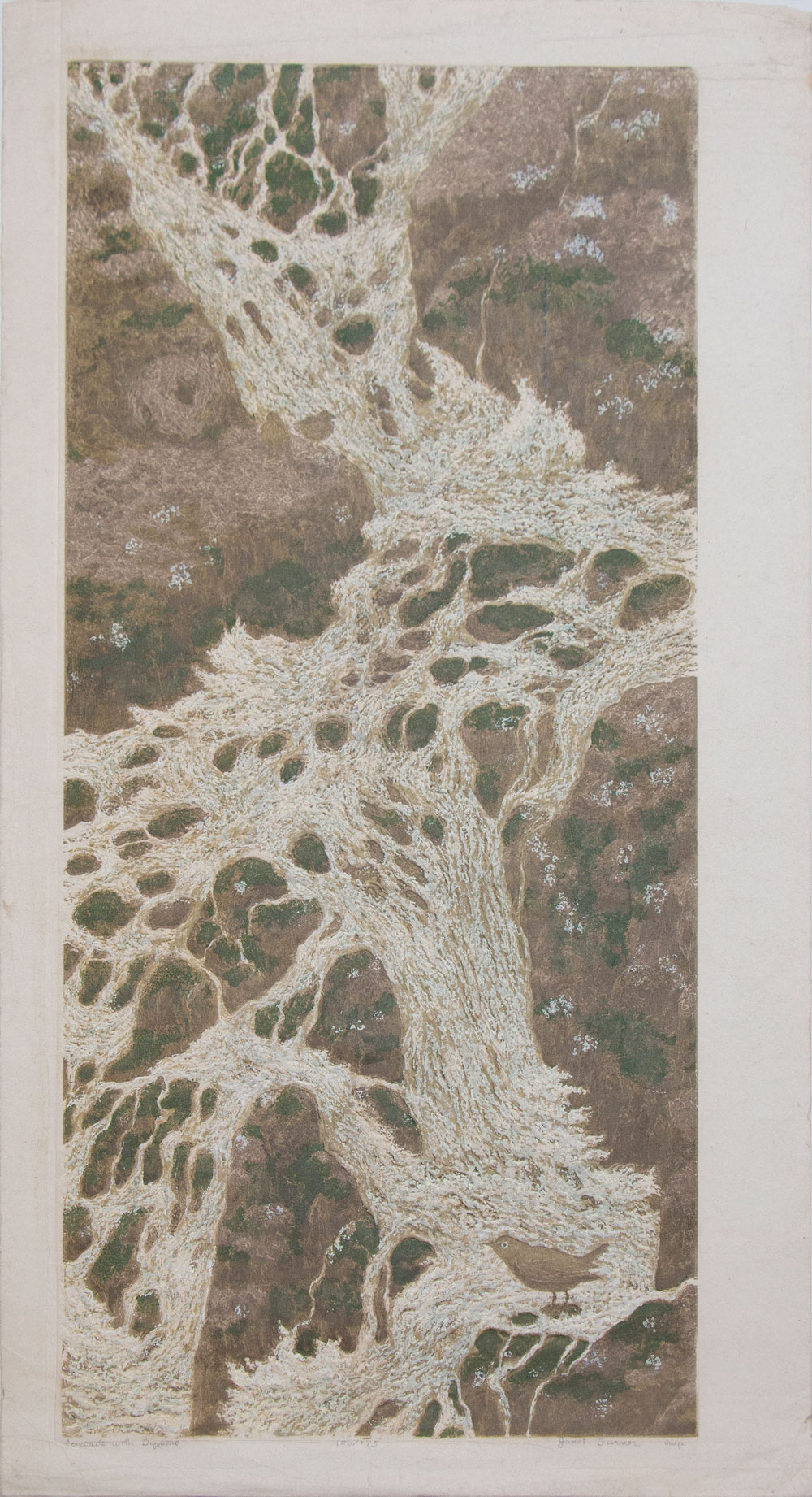 Janet Turner - Cascade with Dippers, 1971 - Jody Klotz Fine Art