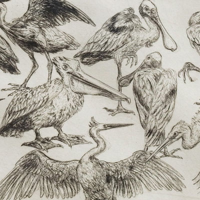 Kelly Fearing & Janet Turner: Looking | Seeing - Jody Klotz Fine Art