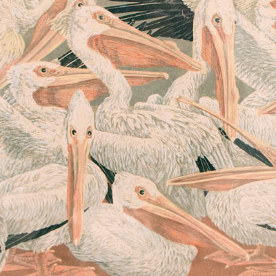 Janet Turner - Pelicans, 1951 - Jody Klotz Fine Art