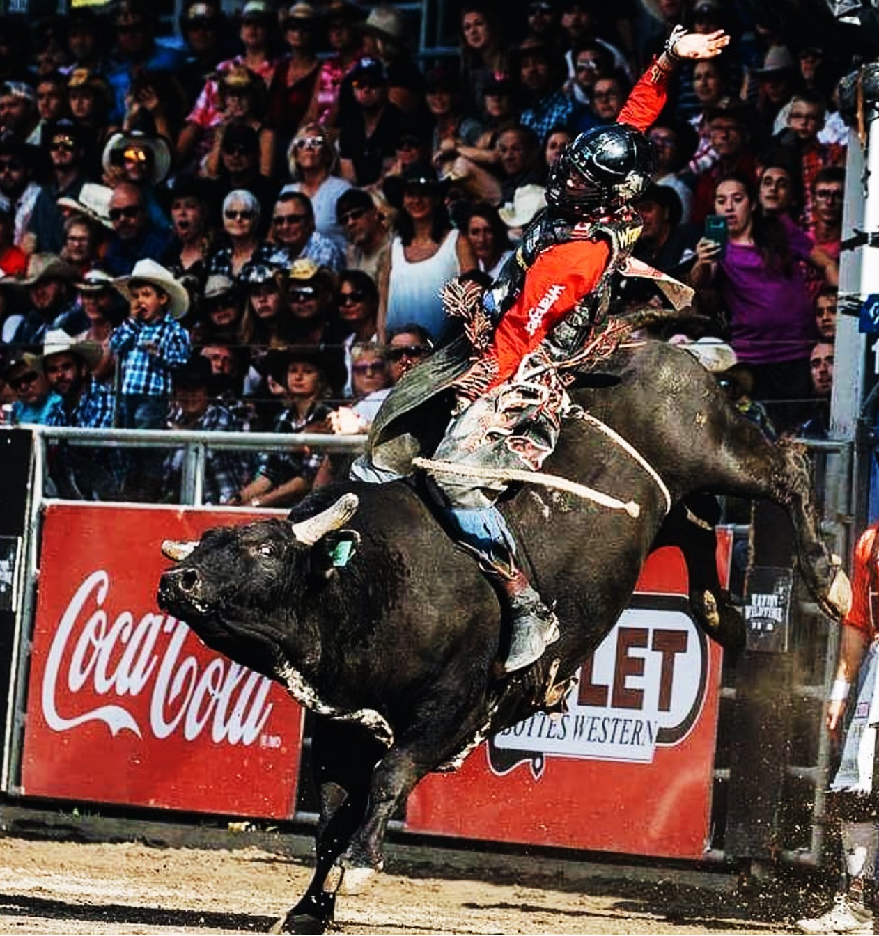 Blog - A Window into the World of Rodeo Performance
