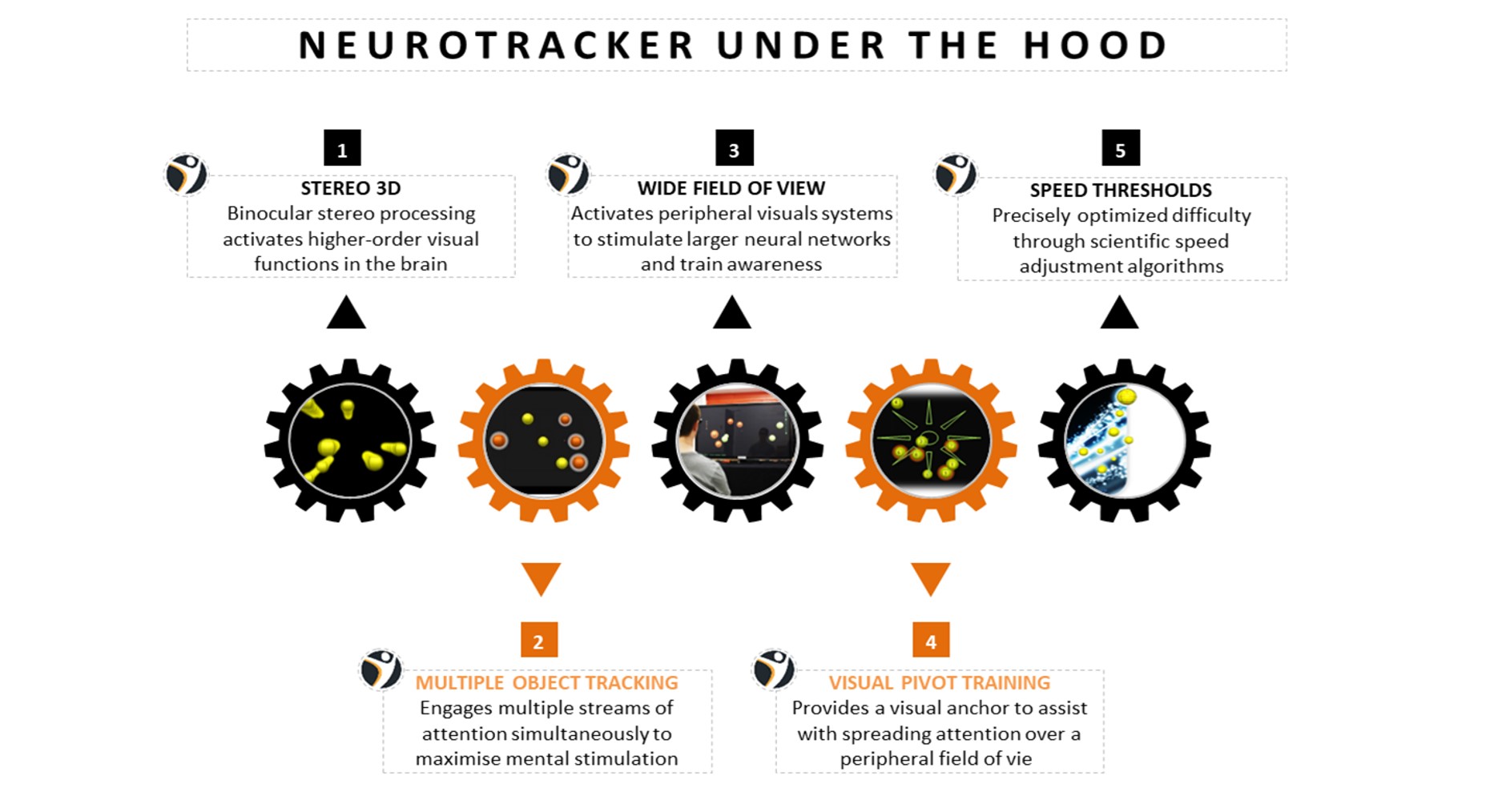 Blog - NeuroTracker 101