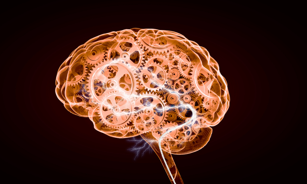 Blog - Understanding the Real World - The Brain's 'Physics Engine ...
