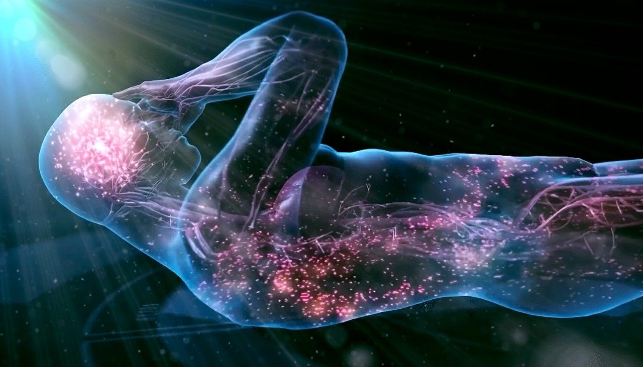 Blog - The Evolution of Chiropractic Care – From Pain to Brain!