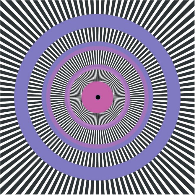 Blog - 4 of the Most Fascinating Illusions Discovered in Neuroscience
