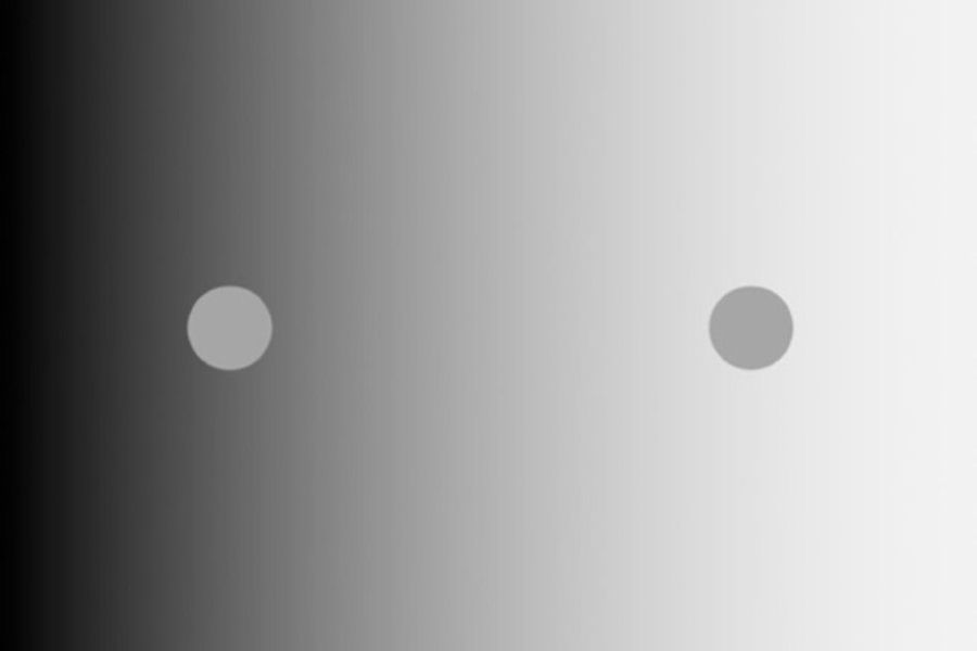 Blog - 4 of the Most Fascinating Illusions Discovered in Neuroscience