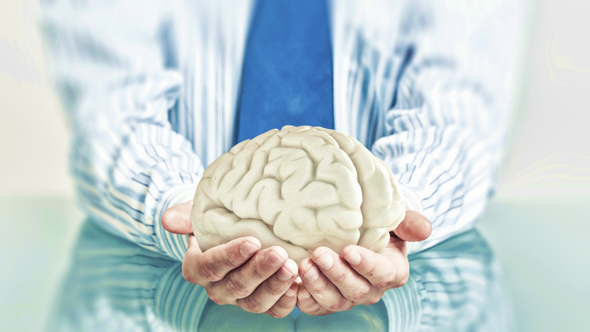 Blog - From Birth to Old Age – How Neuroplasticity and Neurogenesis ...