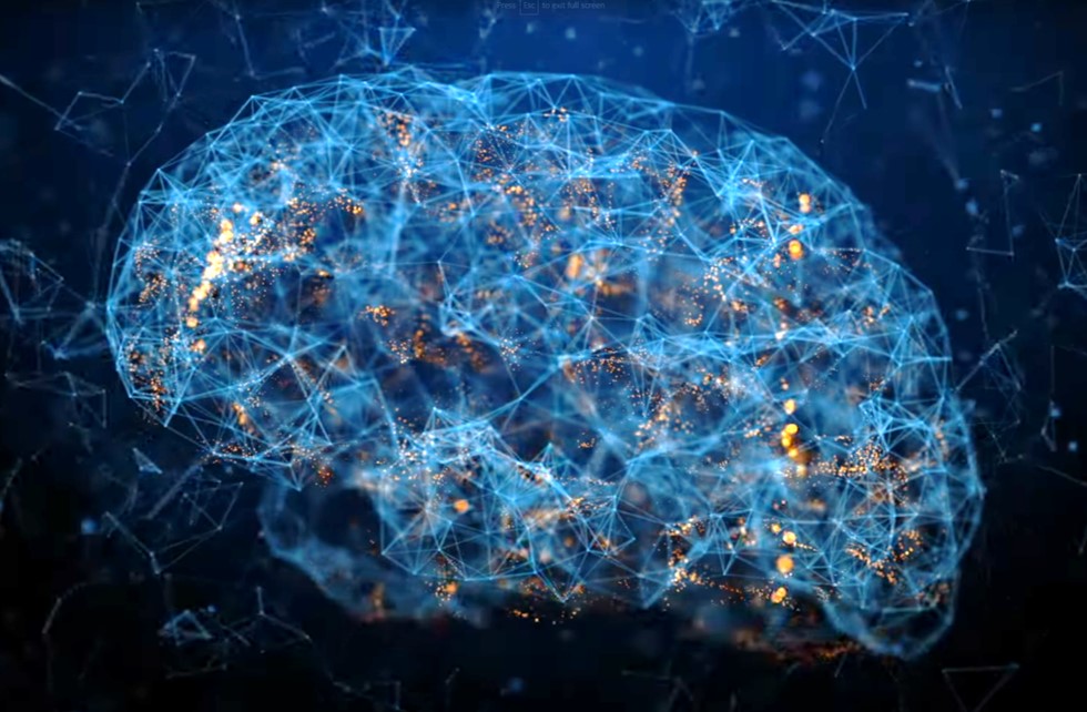 Blog - Cerebrospinal Fluid: The Healthy Version of Brainwashing