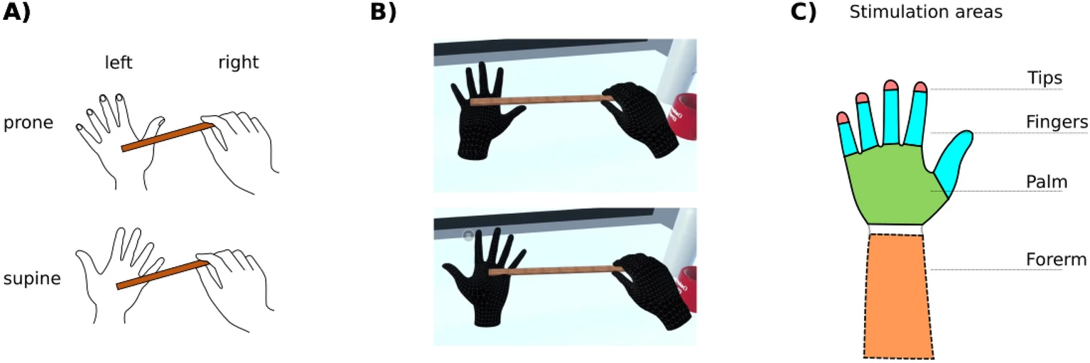 Blog - ‘Feeling’ VR: the Discovery of Phantom Touch Illusion