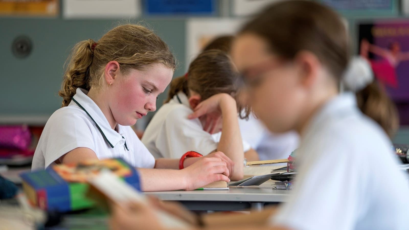 Santa Maria College | Mercy Education