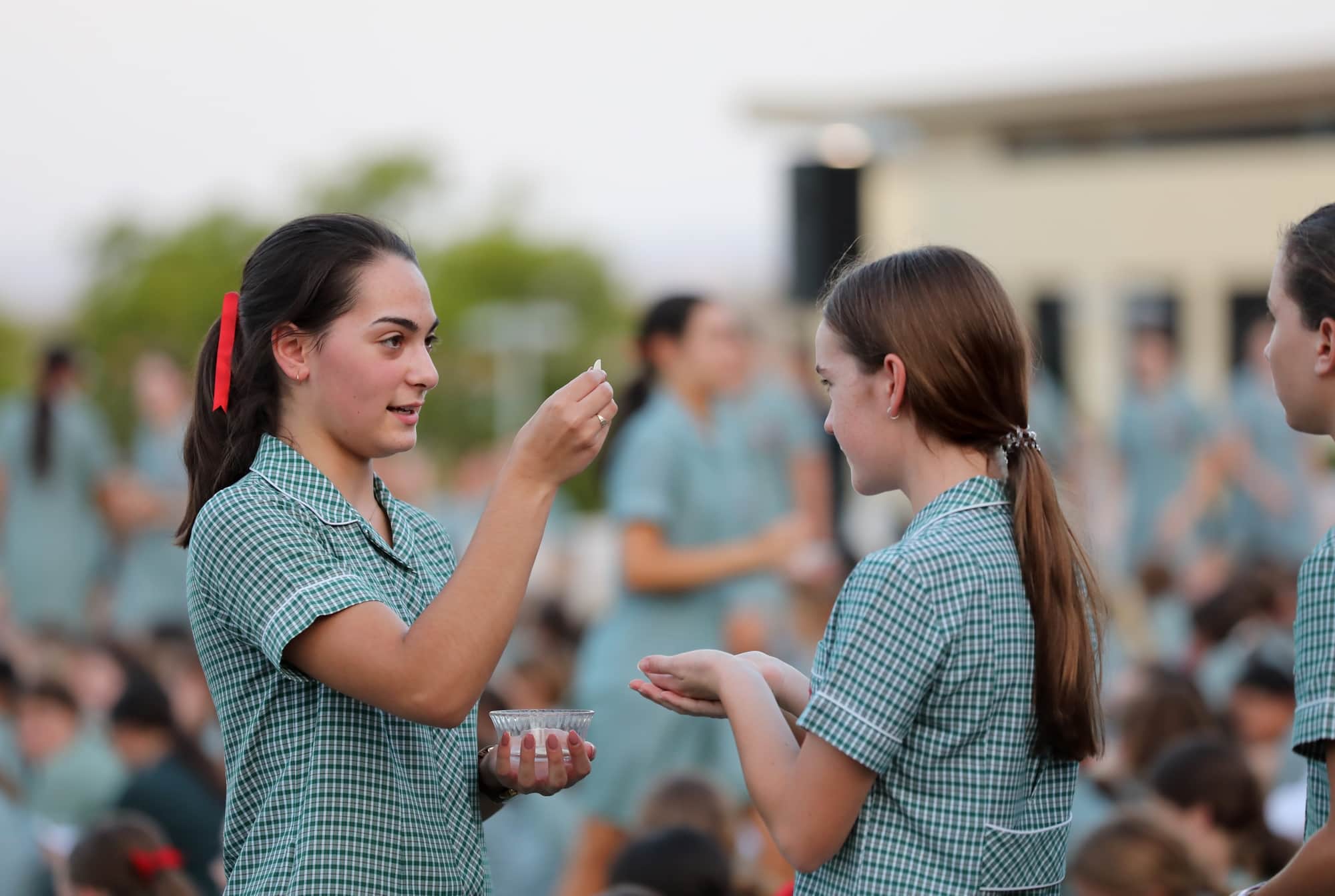 Santa Maria College | Mercy Education