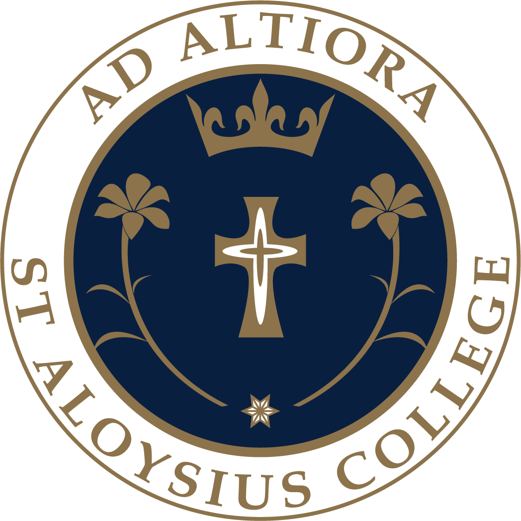 Who We Are | Mercy Education