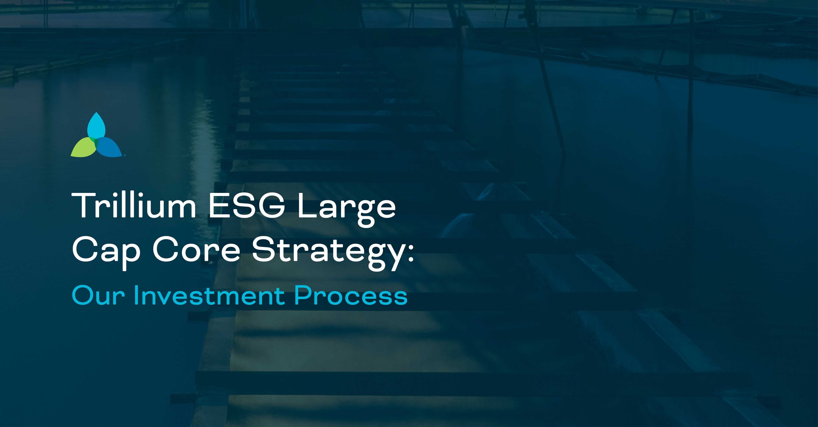 Socially Responsible Investing | Trillium Asset Management