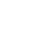 Manhole Inflow Protector - Evans Supply