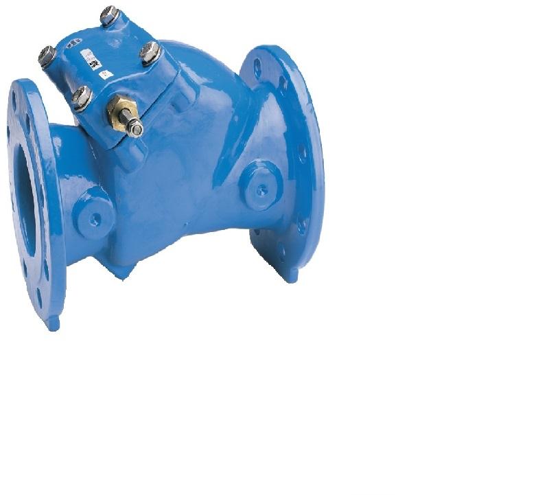 Swing Check Valves - Evans Supply