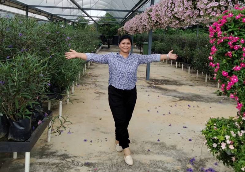 Office Locations - Janio