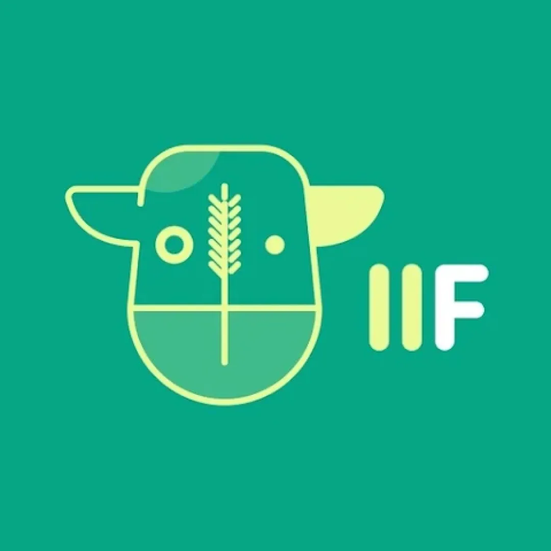IIF IIF