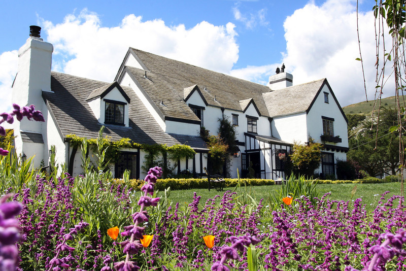 The Pelican Inn - Marin Dish
