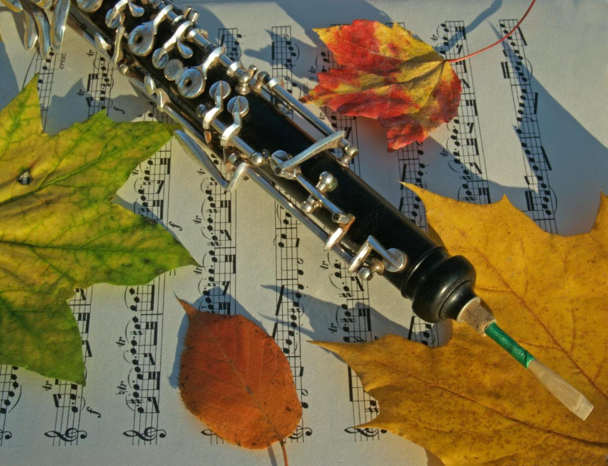 Marin Symphony's 2023/2024 Season Opener - Novato