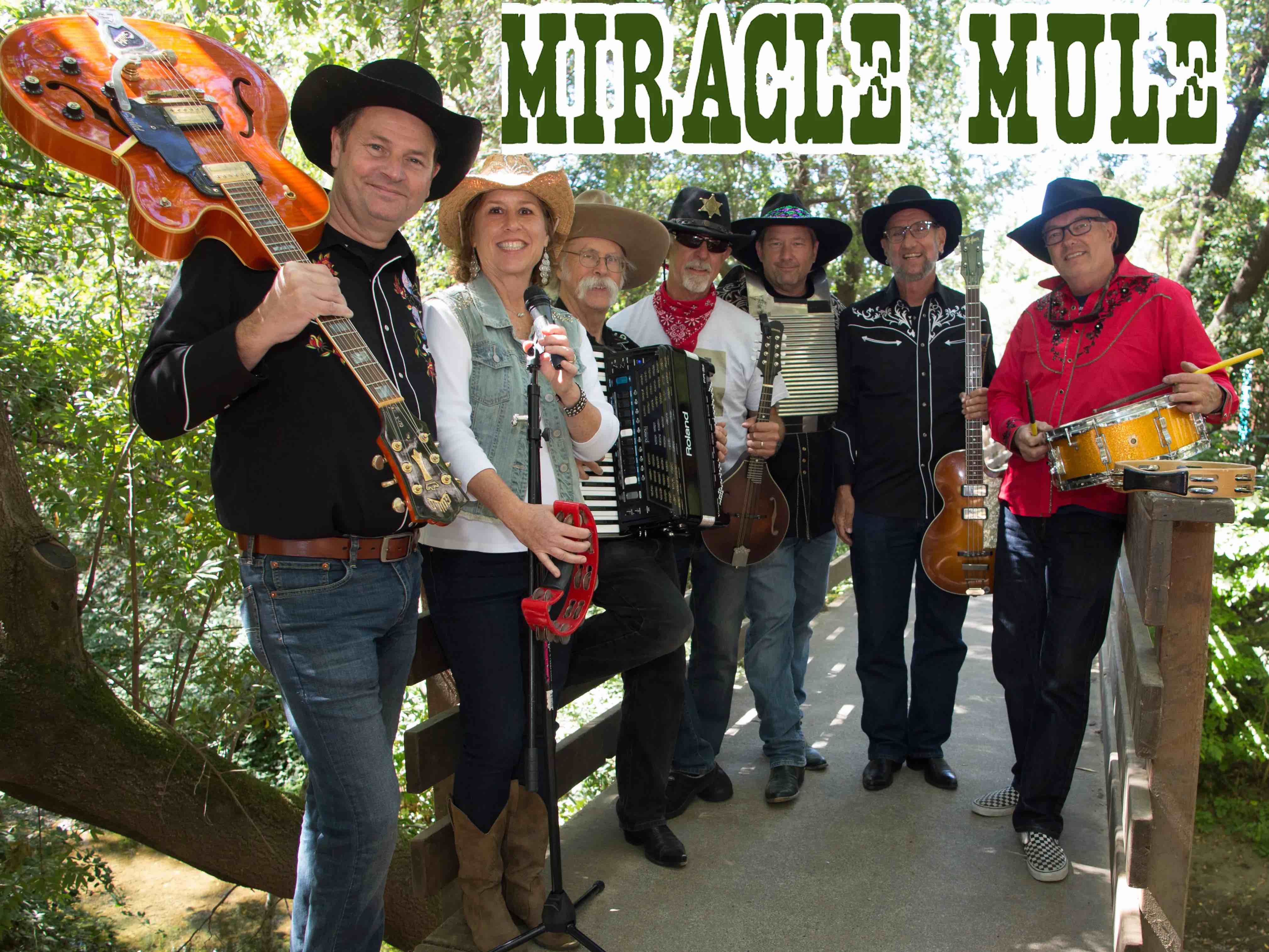 Miracle Mule at Tam Commons - San Rafael
