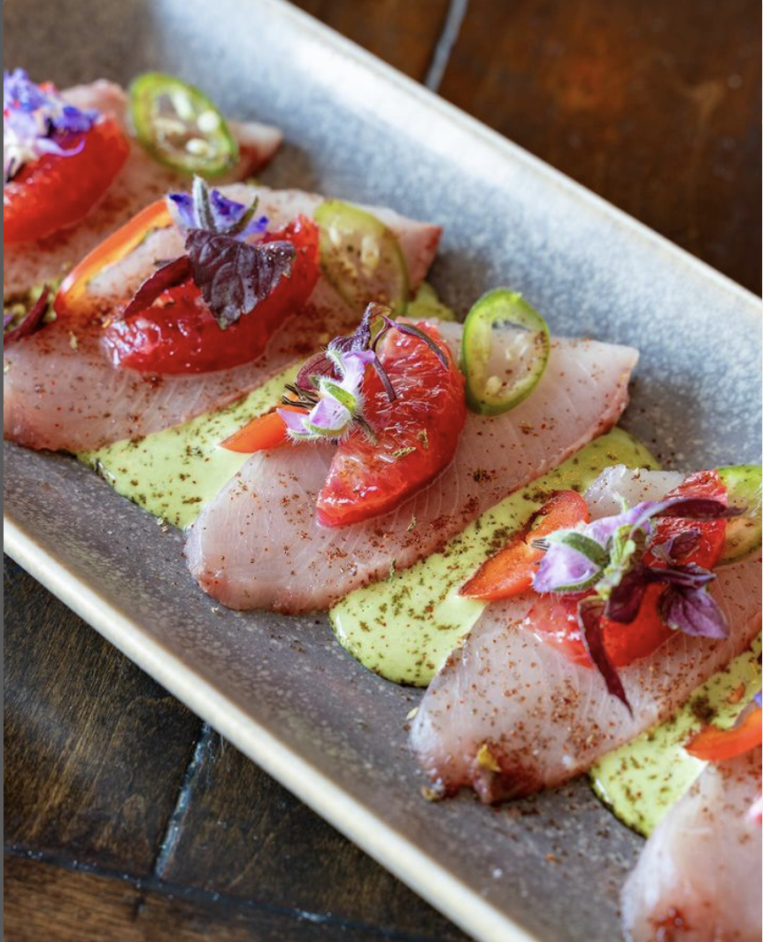 Sausalito Spotlight - #1