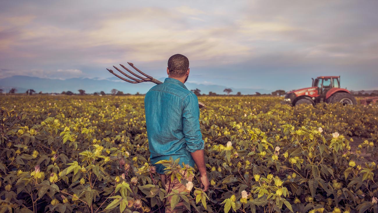 Our Brand Story - CB Group