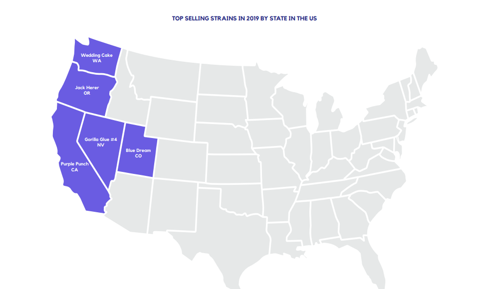 Are Cannabis Strains Still Important? Digging Into Strain Sales Data ...