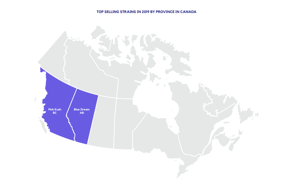 Are Cannabis Strains Still Important? Digging Into Strain Sales Data ...