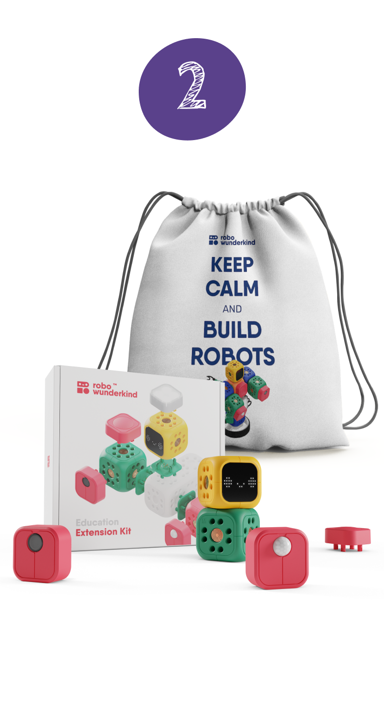 Sustainable Development Goals Challenge