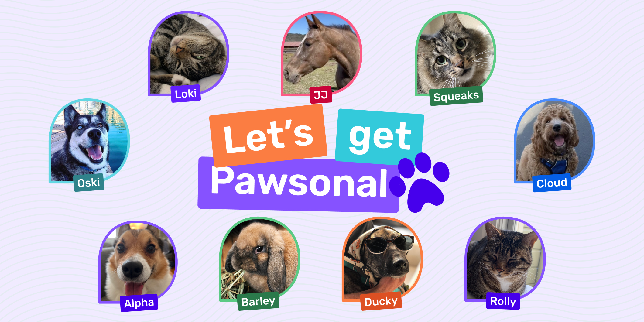 Let’s Get Pawsonal: Meet the Pets Behind Persona | Persona