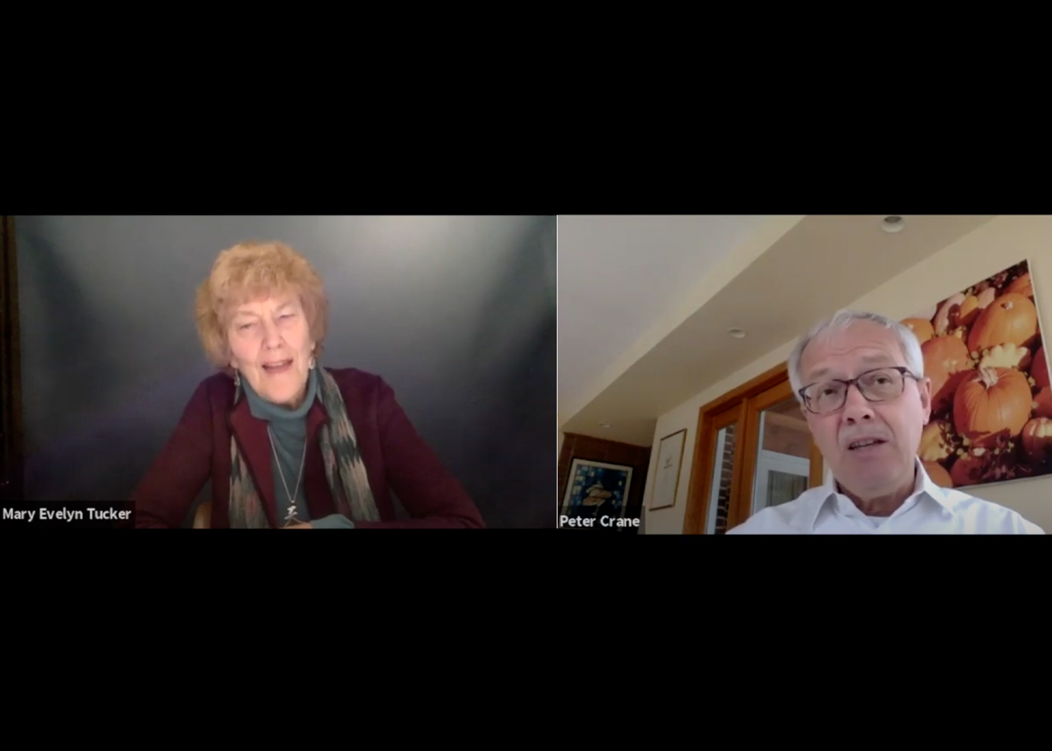 Interview Series: 'Living Earth Community: Multiple Ways of Being and ...