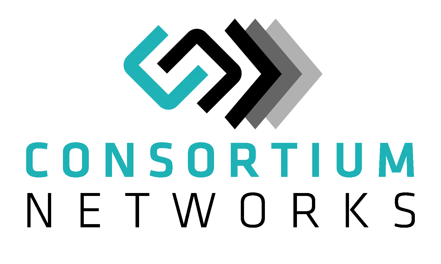 DoControl | Automated SaaS Security | Partners