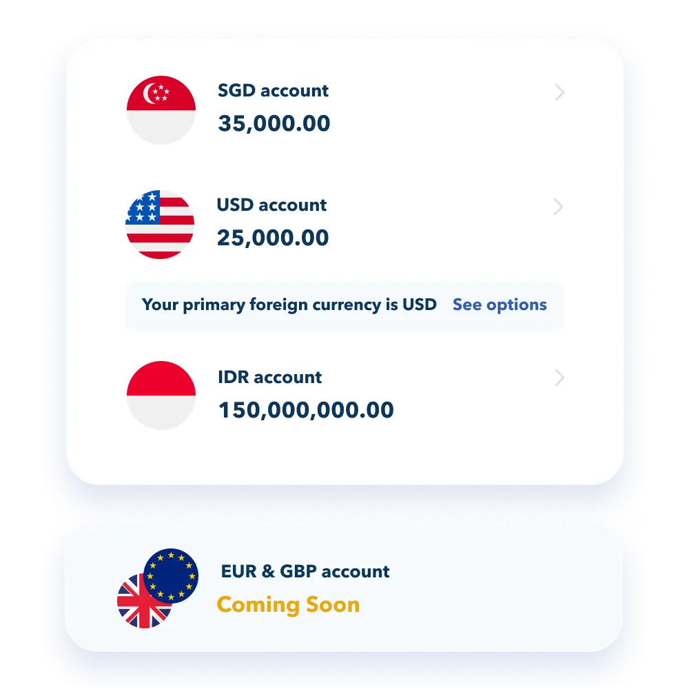 Manage multiple currencies in one place