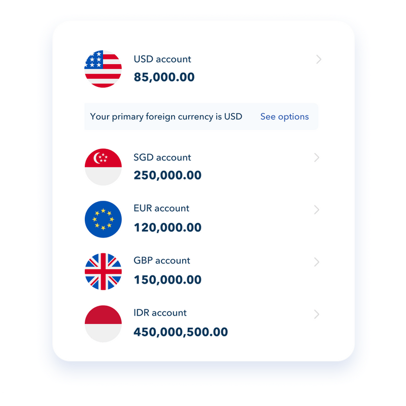 Best Digital Business Account for Singapore Businesses