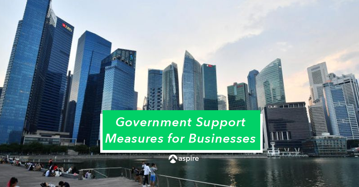 Government Support Measures for COVID-19