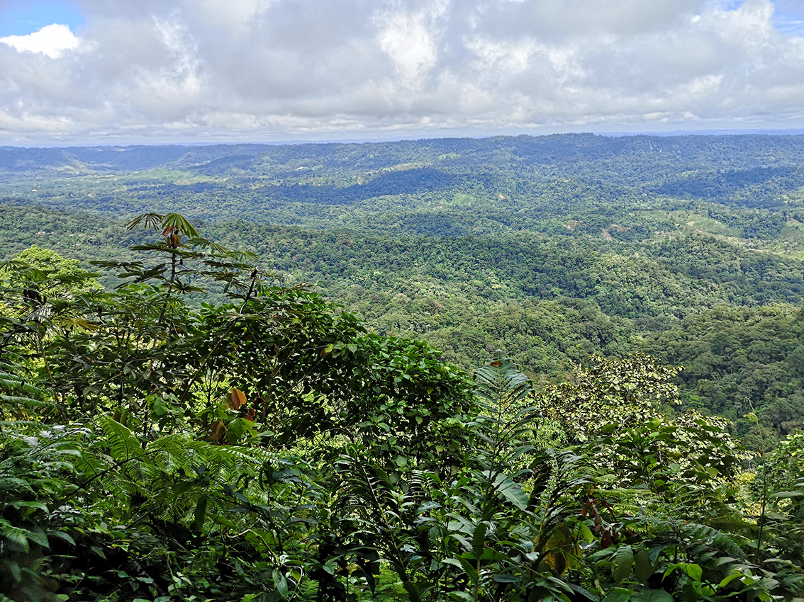 Dr. Gunnar Brehm | Science