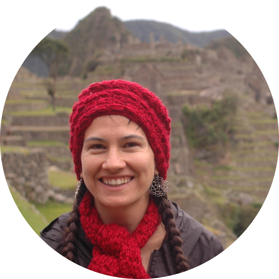 Prisma Online School for Grades 4-12