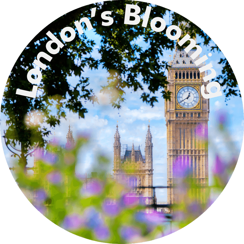 Stow Away - London Eco Apart-Hotel