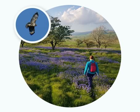 Guided Walks & Three Peaks | Yorkshire Dales Guides