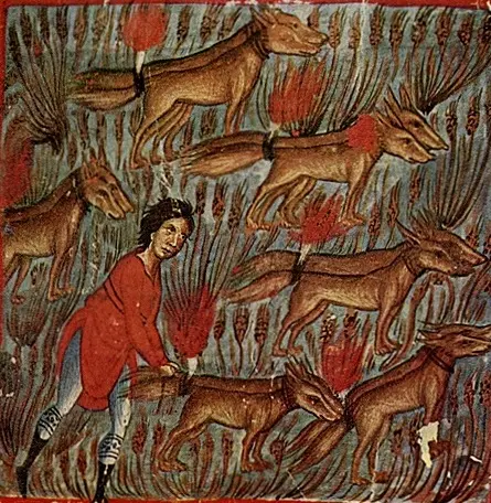 La naissance et l’épopée de Samson : histoire d’un champion (ou pas)