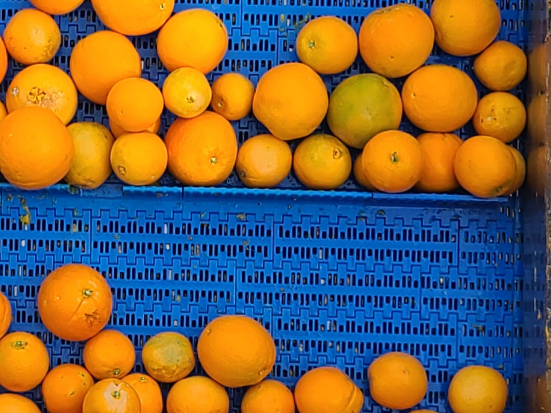 Modutech | Our Products | Beltservice Corporation